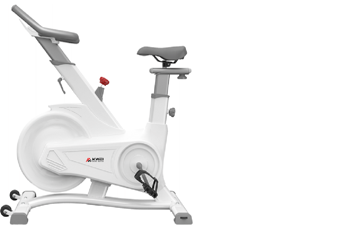 KWEI-EAGLE811 Upright Indoor Cycling Exercise Spinning bike for Home ...