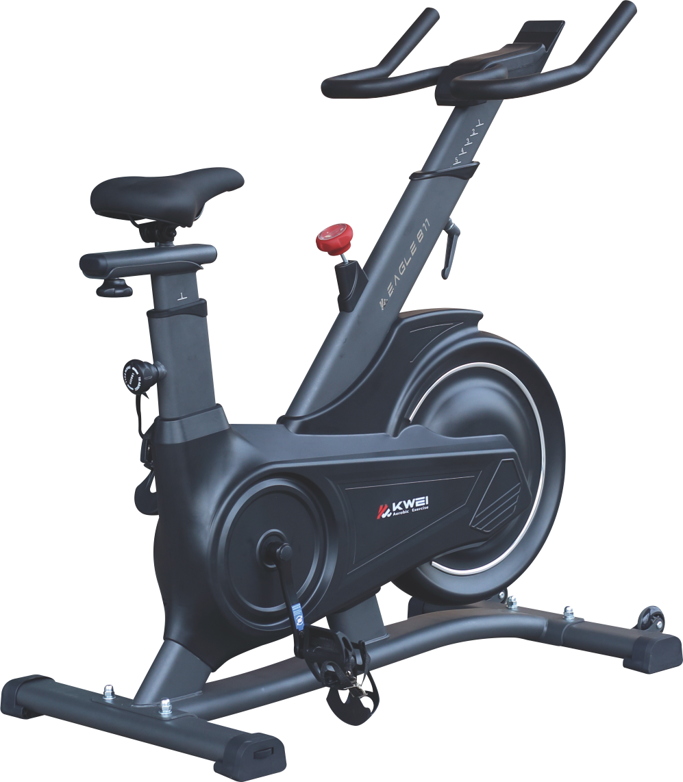 KWEI-EAGLE811 Upright Indoor Cycling Exercise Spinning bike for Home ...